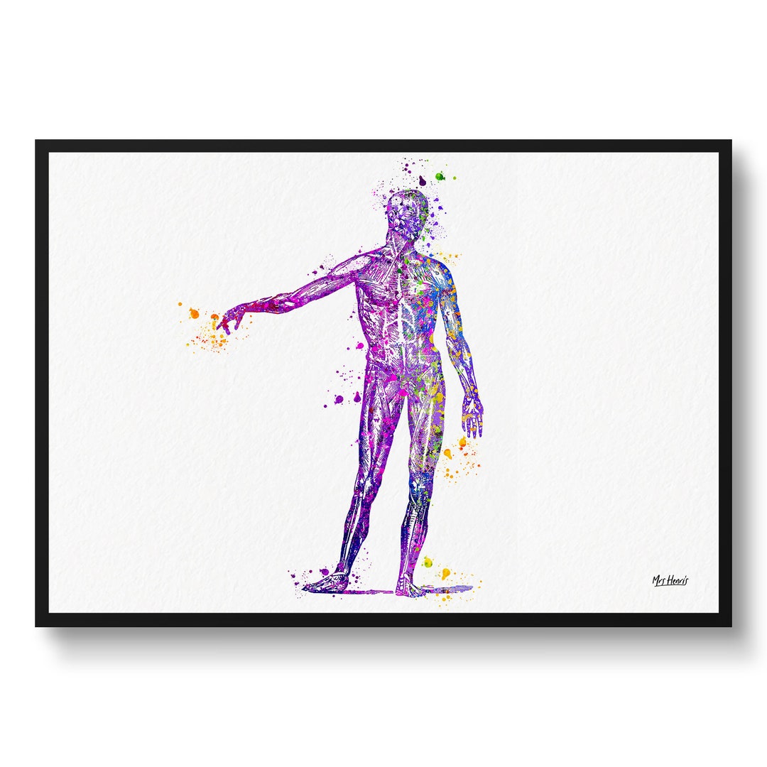 Body Watercolour Print Human Muscular System Anatomy Medical Nurse ...