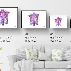 Thorax Watercolour Print Rib Cage Anatomy Medical Nurse & Doctor Office ...