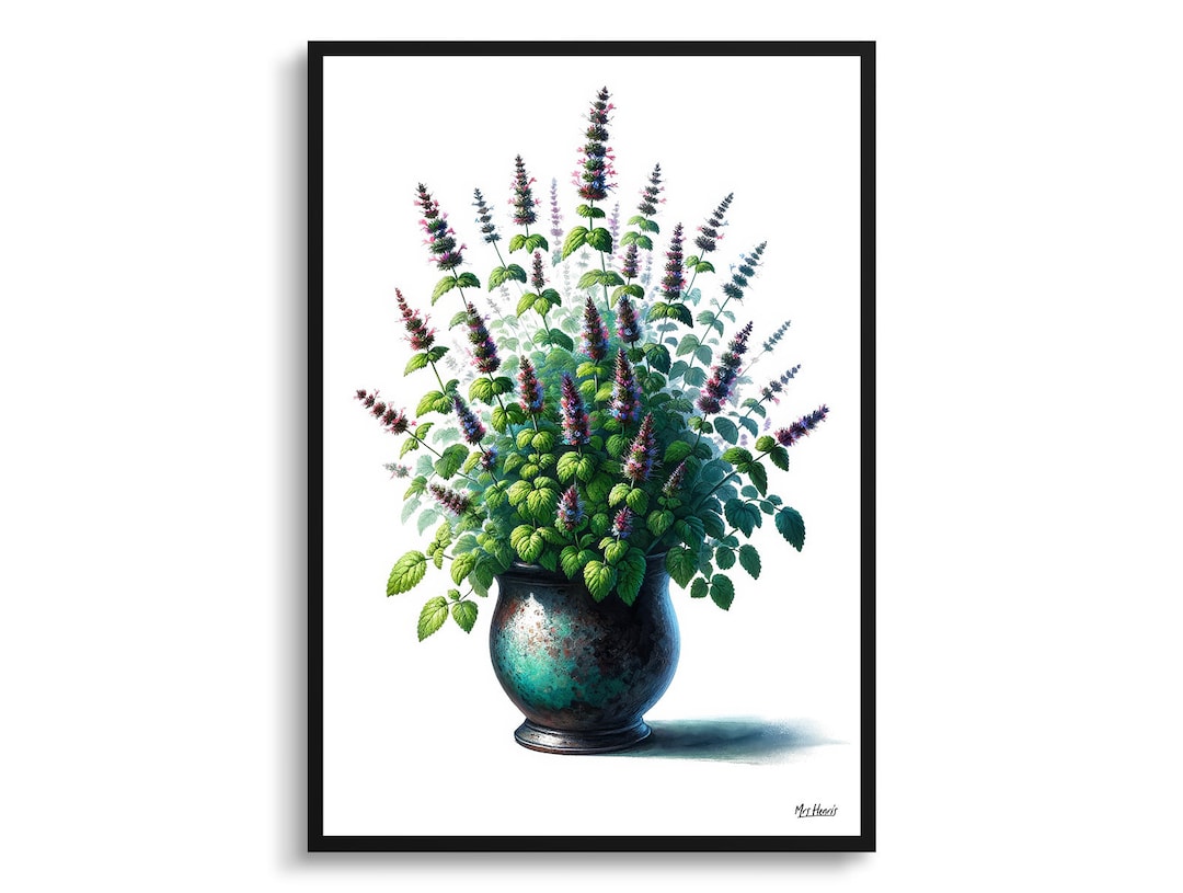 Catnip (nepeta Cataria) Botanical Print - Watercolor Framed Painting ...