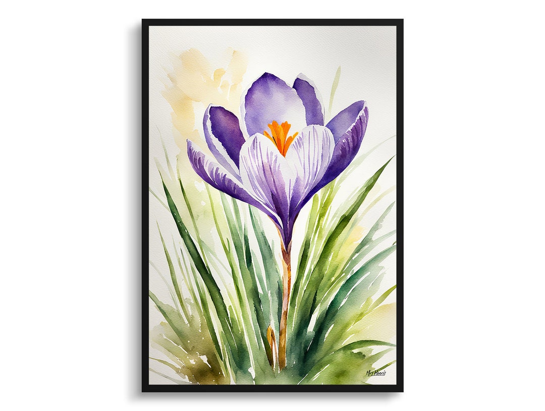 Crocus Watercolour Botanical Art Print - Meadow Saffron Framed Plant ...