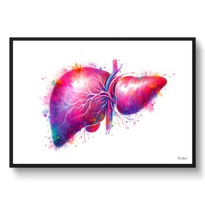 Liver Anatomy Print Nephrology Surgery Wall Art Print Watercolour ...