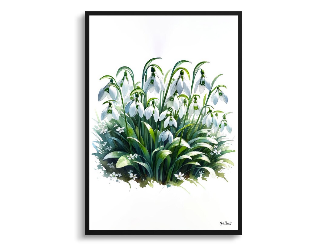 Botanical Art Snowdrop (galanthus) Framed Plant Watercolor Painting ...