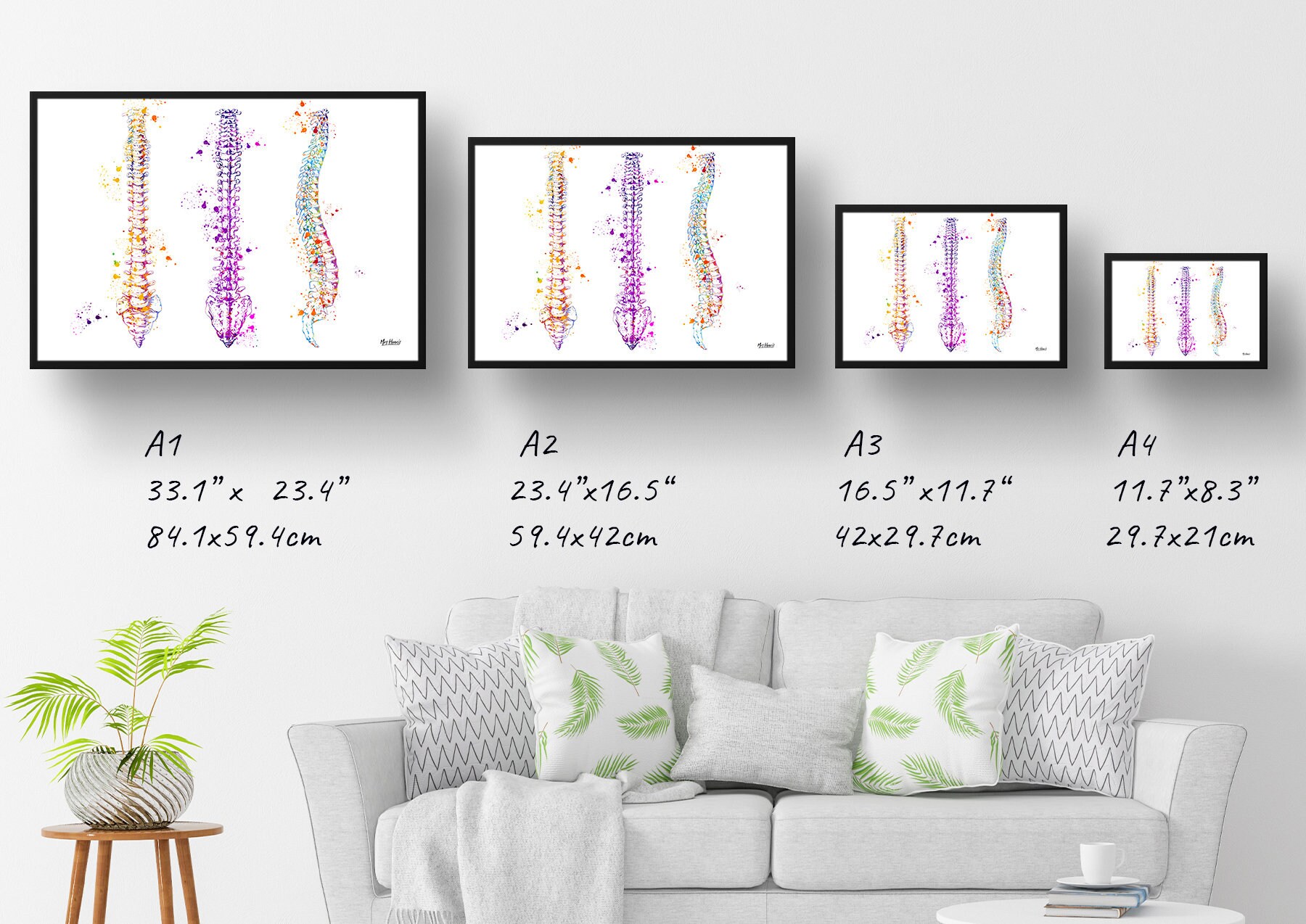 Spine Vertebrae Anatomy Watercolour Print Spinal Column Orthopedists ...
