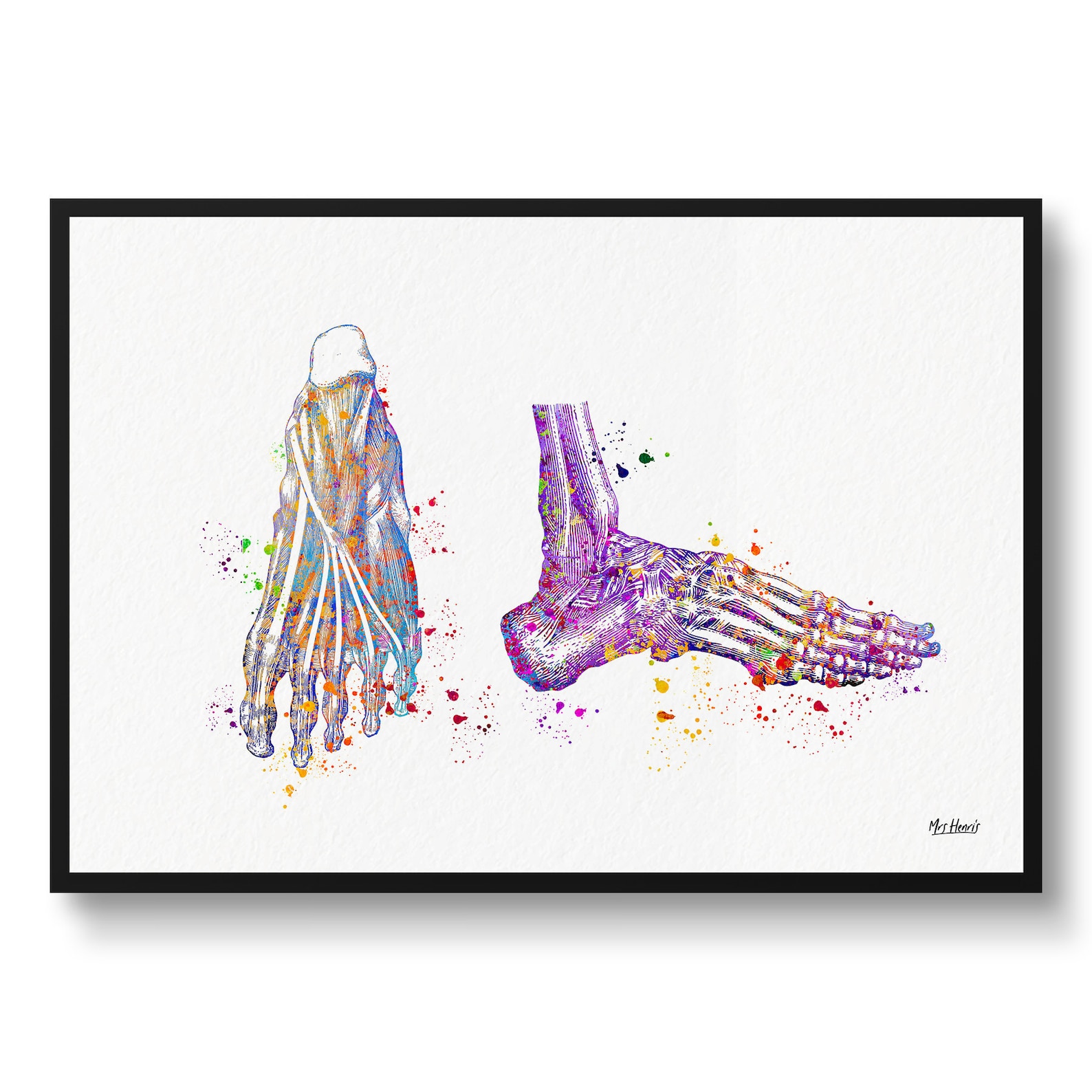 Feet Bones Anatomy Watercolour Print Footmedical Doctor Office Clinic ...