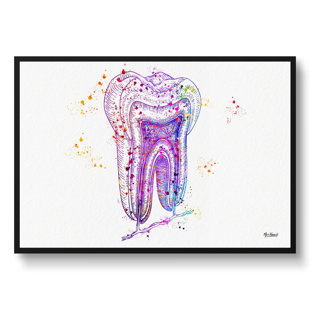 Tooth Structure Watercolour Print Tooth Cross Section Anatomy Dental ...
