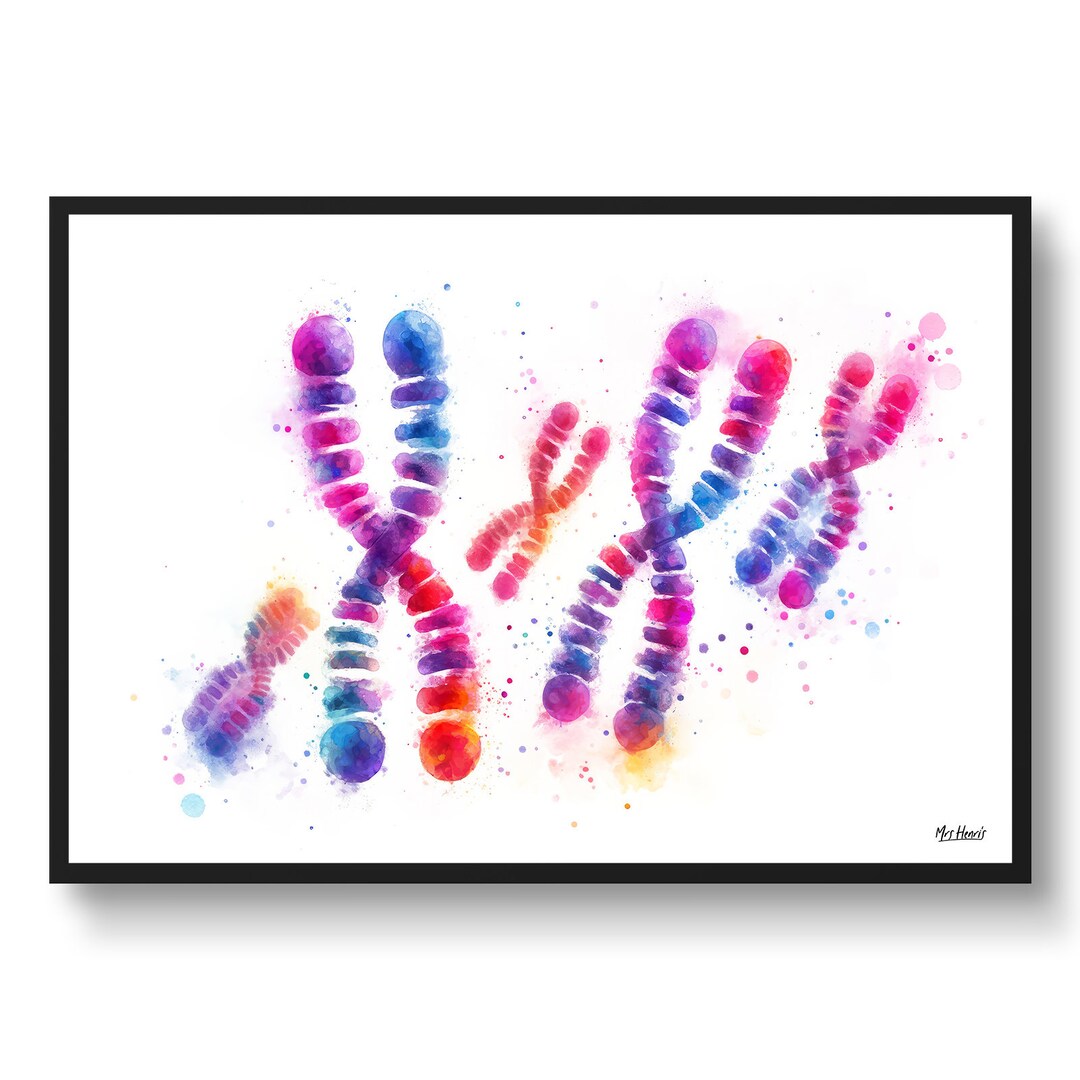 Science Genetics Dna Genetists Wall Art Print Watercolour Chromosomes ...