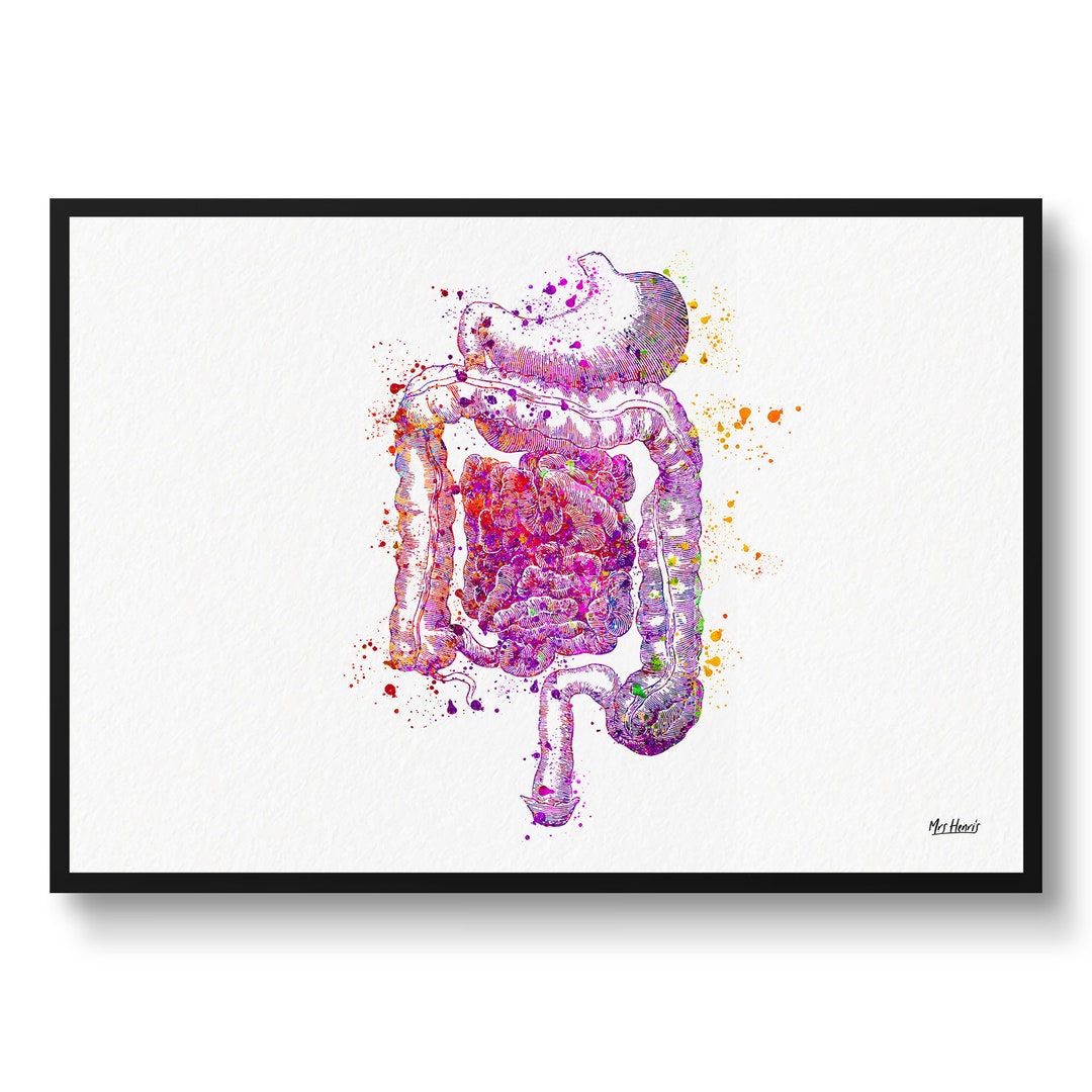 Digestive System Watercolour Print Gut Anatomy Medical Nurse Doctor ...