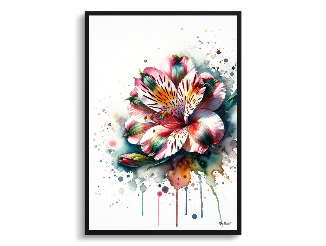 Botanical Art Peruvian Lily of the Incas (alstroemeria) Framed Plant ...