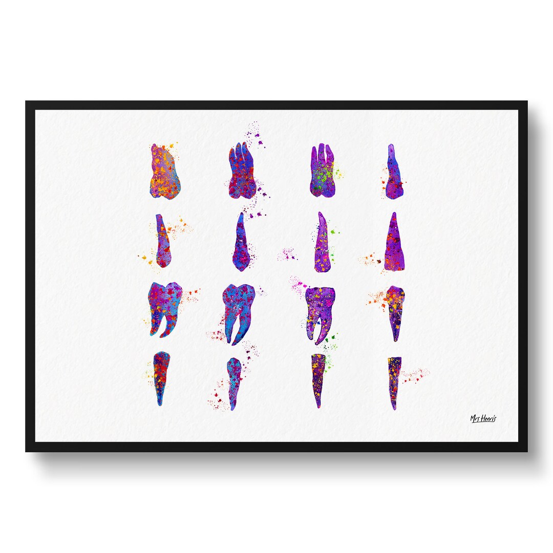 Teeth Set Watercolour Print Tooth Anatomy Chart Dental Office Clinic ...