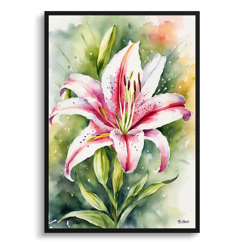 Stargazer Lily - Etsy