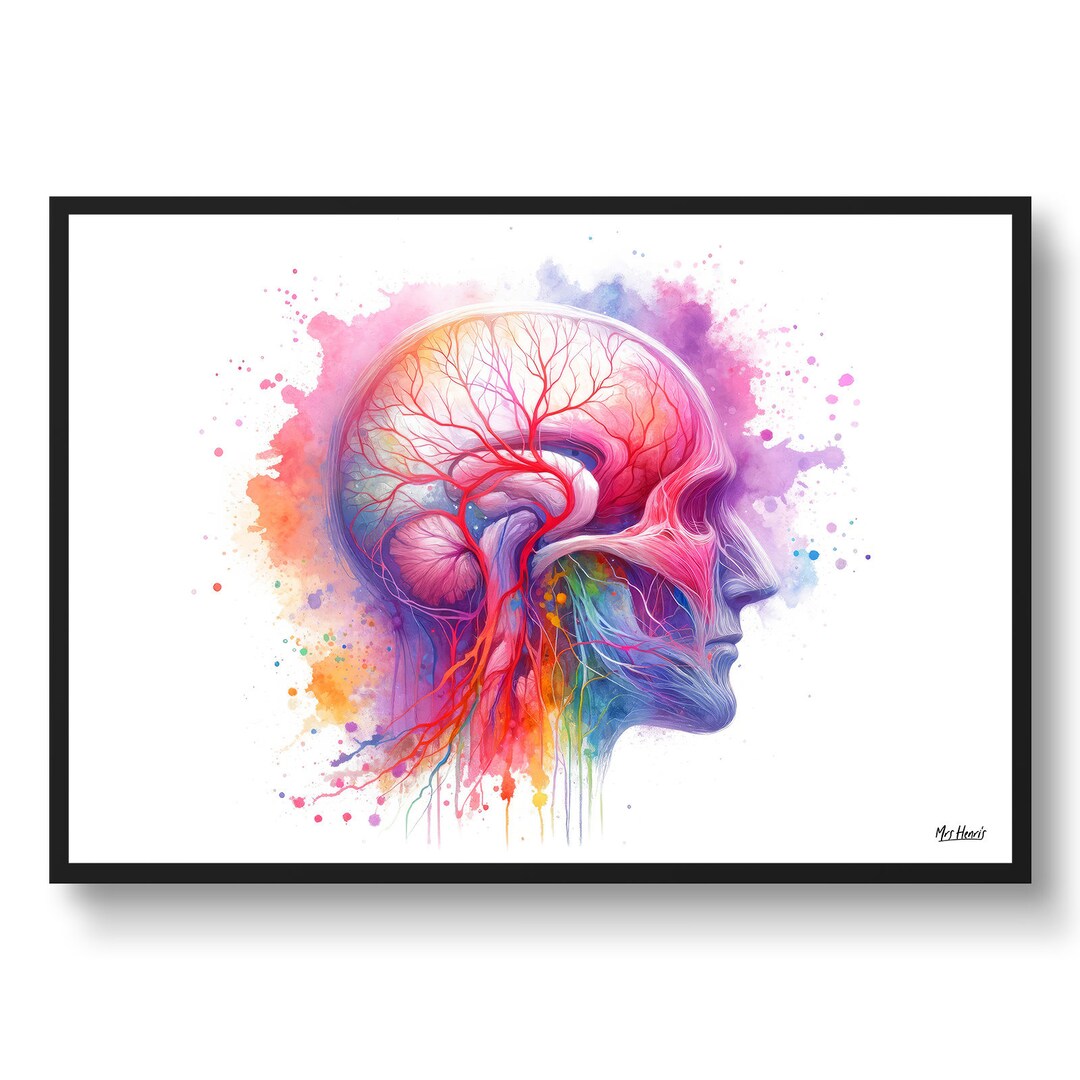 Brainstem Neurology Neuroscience Wall Art Print Watercolour Cranial ...