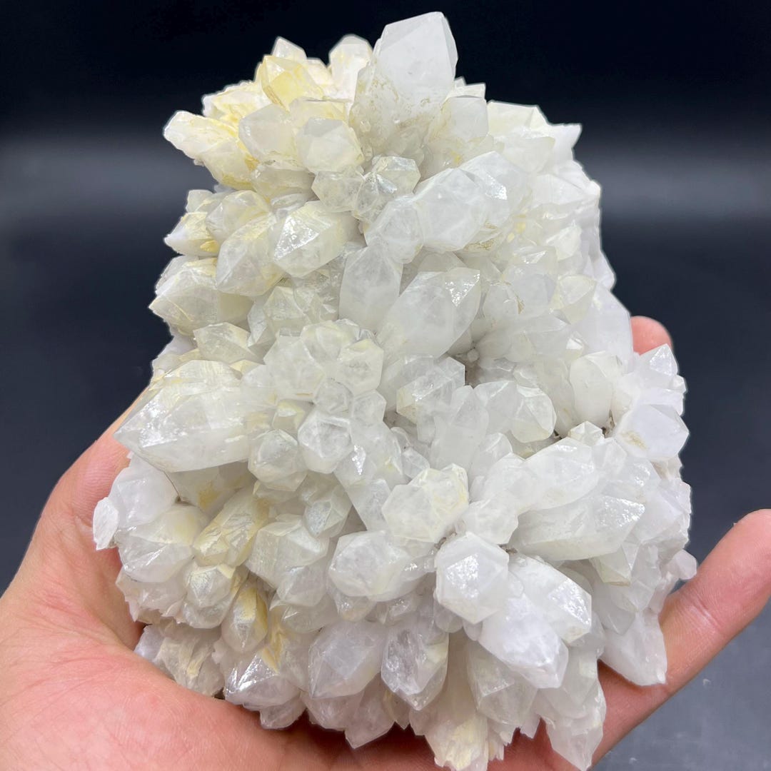 Natural White Quartz Clear Flower Shape Crystal Mineral Specimen #Q704 ...