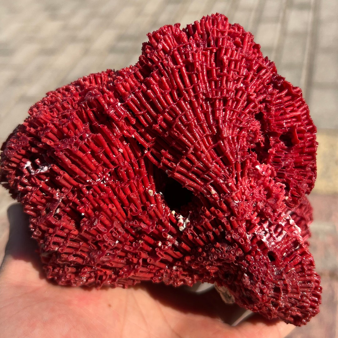 570g Natural Excellent Rare Red Minerals Specimen Q679 - Etsy