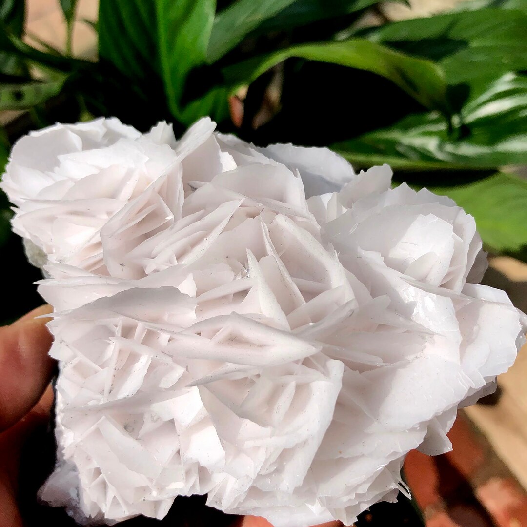 Calcitenature White Calcite Crystal Vug Mineral Specimen - Etsy