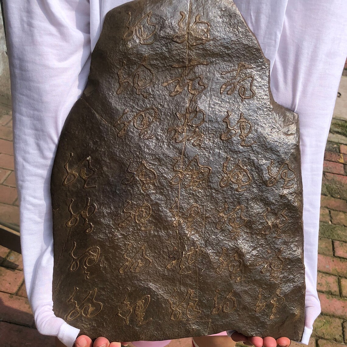 RARE Stony Meteorite Natural Meteorite Iron BOXHOLE, Australia ...