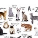 A-Z of Cats | Cat Breed Alphabet | Cat Breeds | Cat Lover | Kitten ...