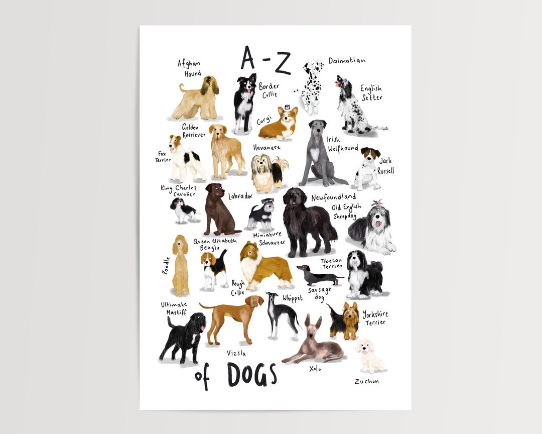 A-Z of Dogs | Dog Breed Alphabet | Dog Breeds | Dog Lover | Puppy ...