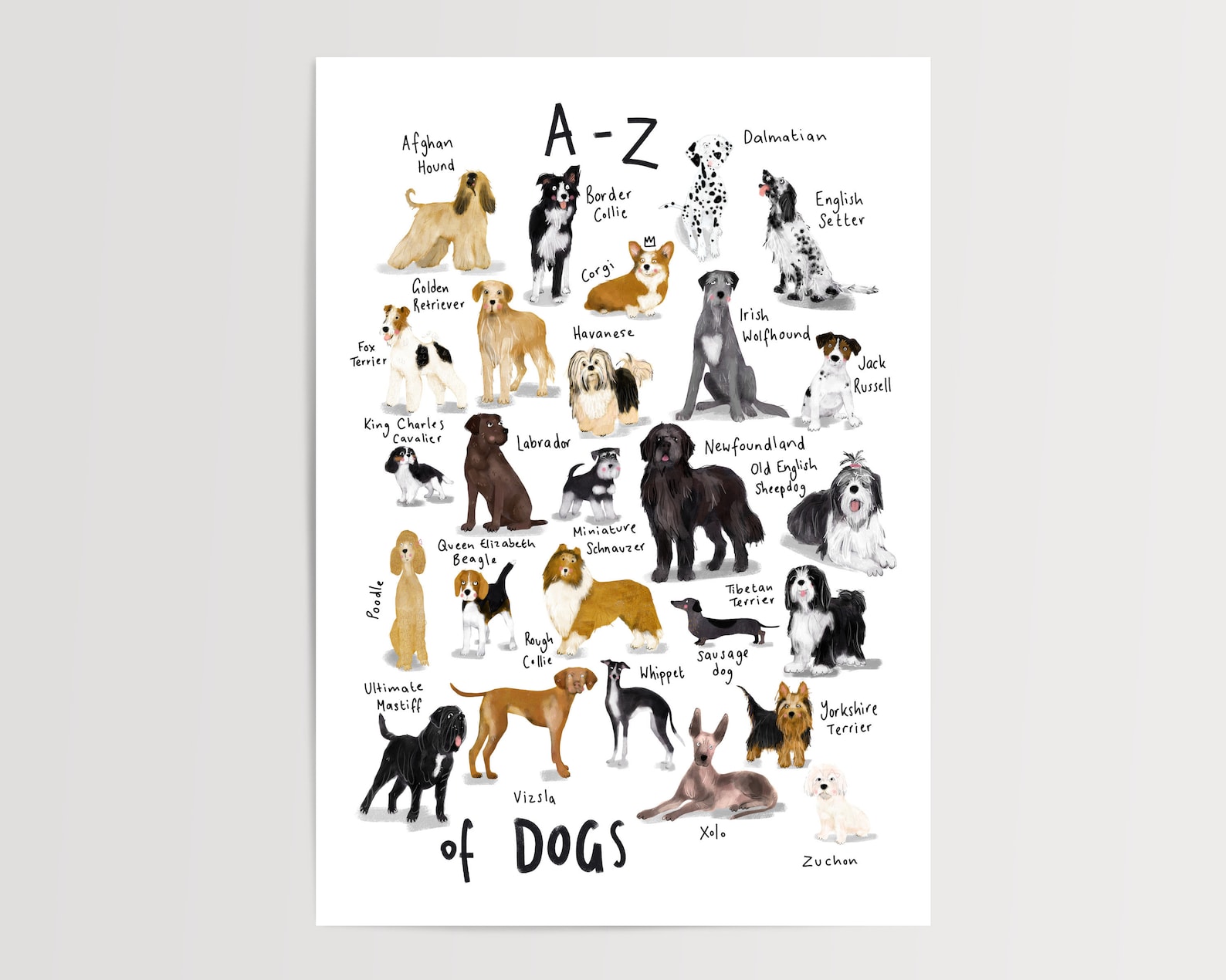 A-Z of Dogs | Dog Breed Alphabet | Dog Breeds | Dog Lover | Puppy ...