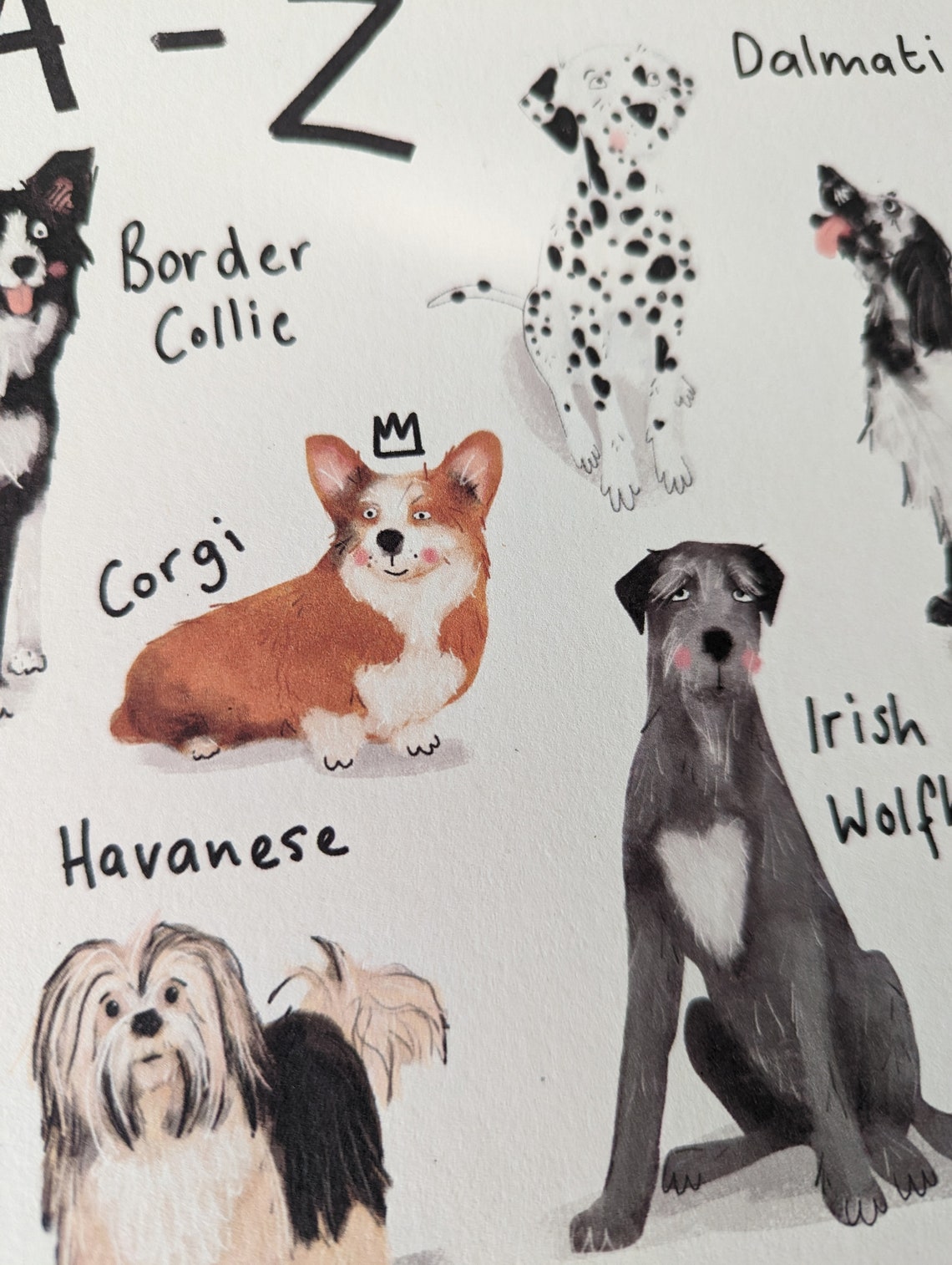 A-Z of Dogs | Dog Breed Alphabet | Dog Breeds | Dog Lover | Puppy ...