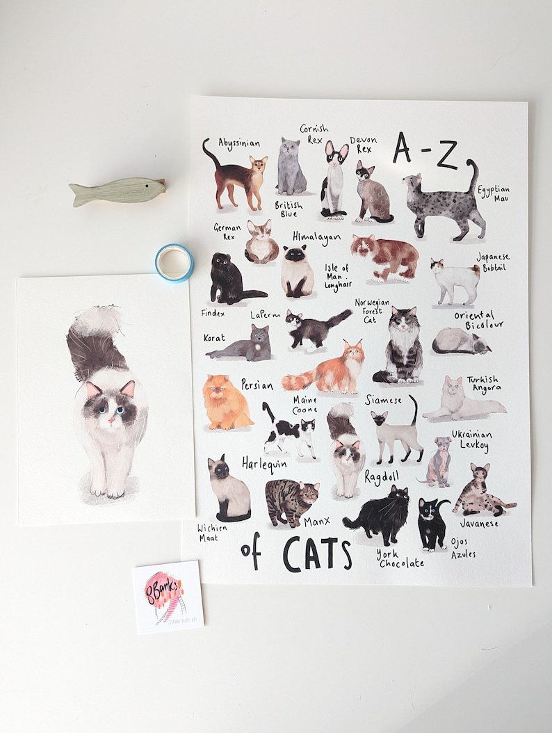 A-Z of Cats | Cat Breed Alphabet | Cat Breeds | Cat Lover | Kitten ...