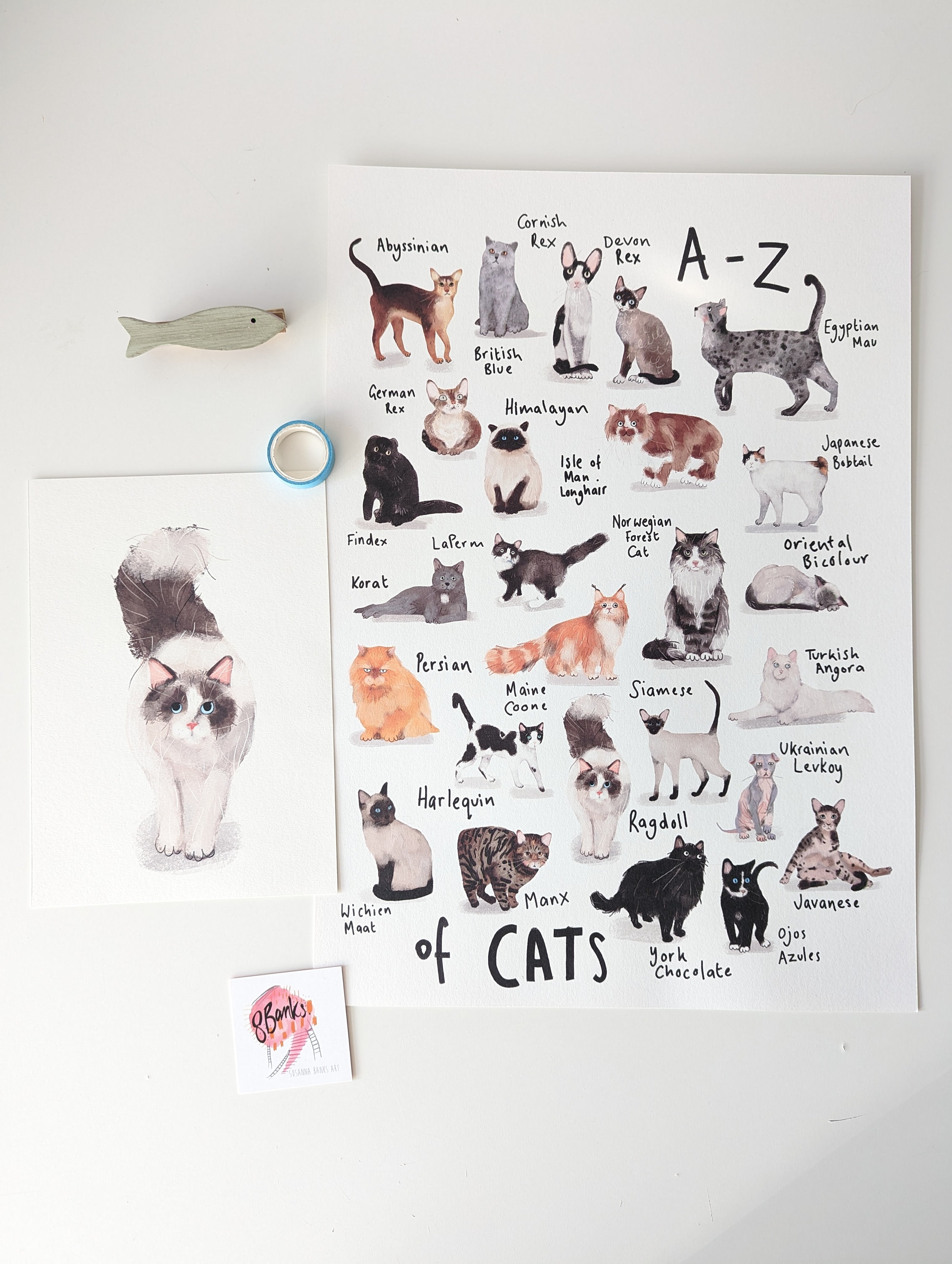 A-Z of Cats | Cat Breed Alphabet | Cat Breeds | Cat Lover | Kitten ...