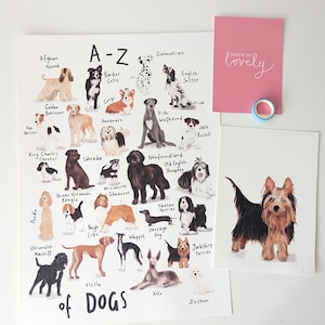 A-Z of Dogs | Dog Breed Alphabet | Dog Breeds | Dog Lover | Puppy ...