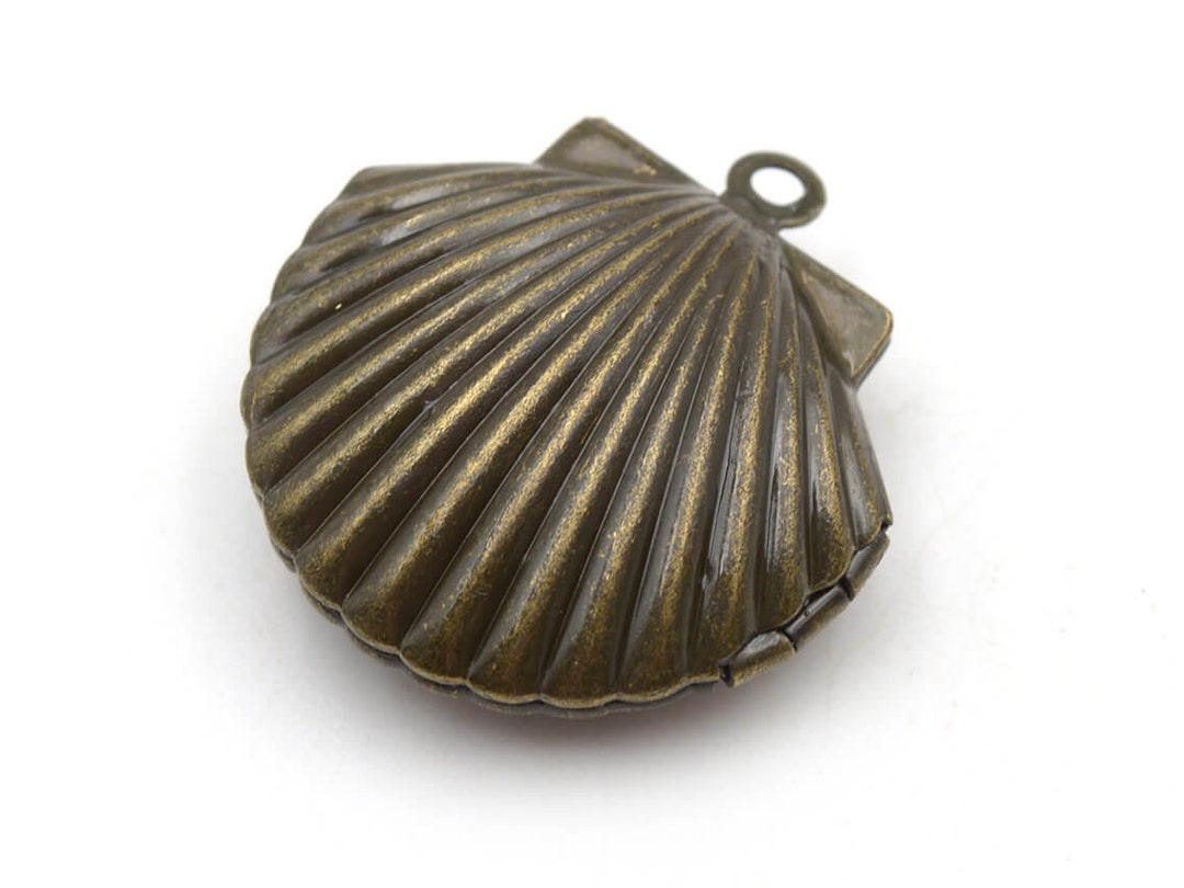 Medallion as a Shell in Antique Bronze 1 Piece - Etsy