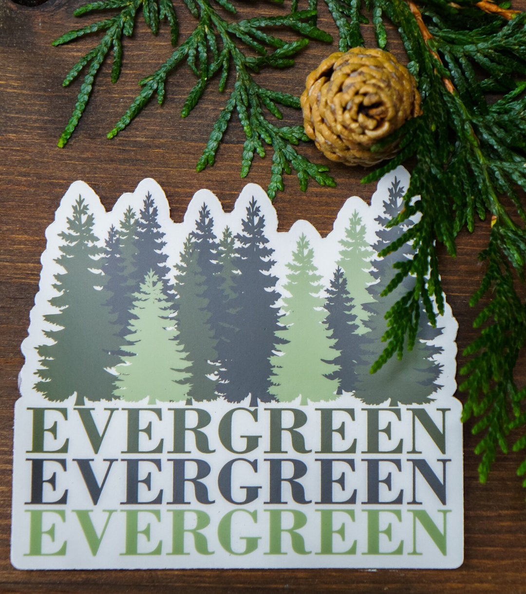 Evergreen Decal - Etsy