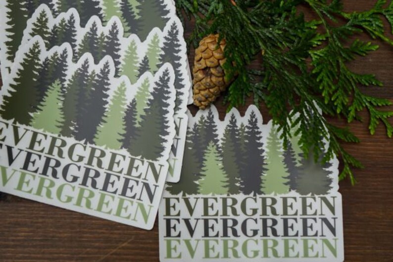 Evergreen Decal - Etsy