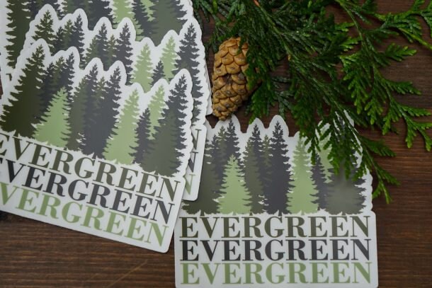 Evergreen Decal - Etsy