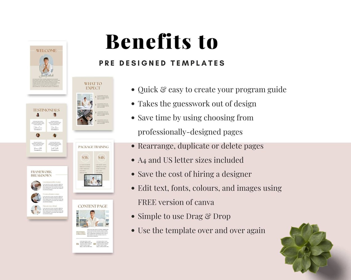 Coaching Package, Canva Template Coaching Program Pricing Guide ...