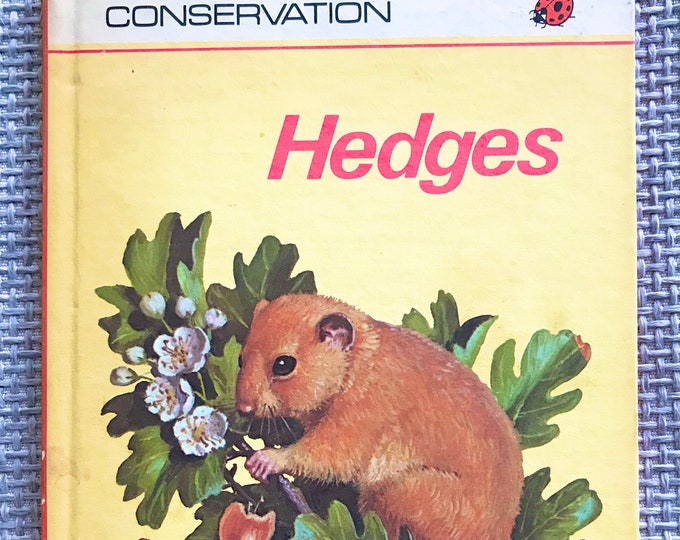Hedges. Vintage Ladybird Conservation Book. - Etsy