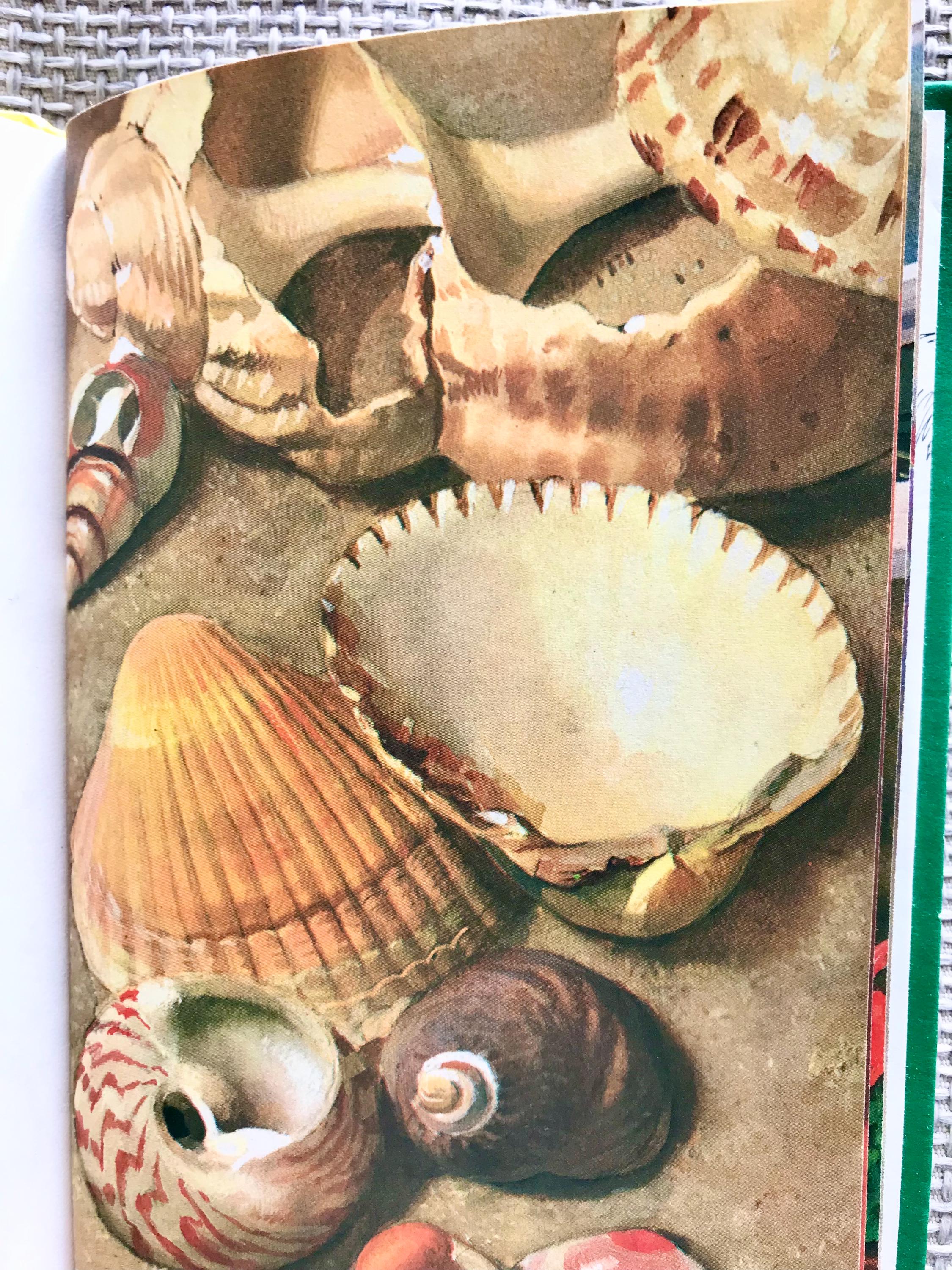 A Ladybird Third Picture Book. Vintage Children’s Book. - Etsy