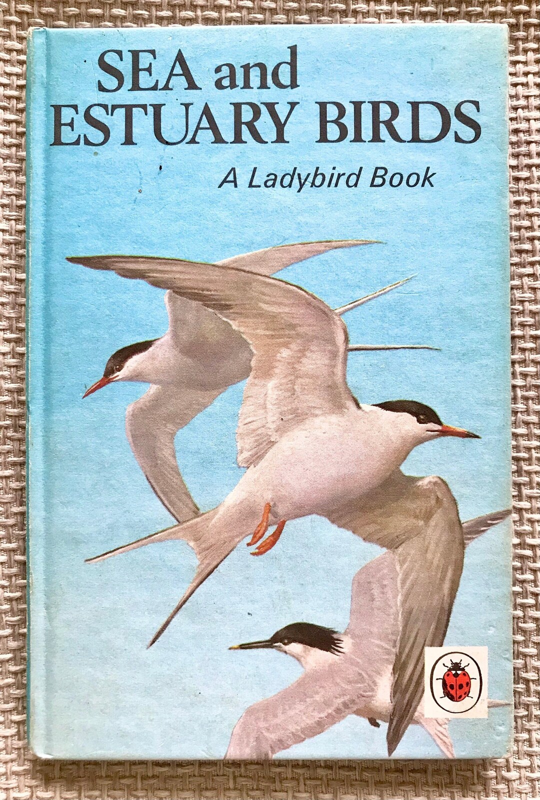 Sea and Estuary Birds. Vintage Ladybird Book - Etsy