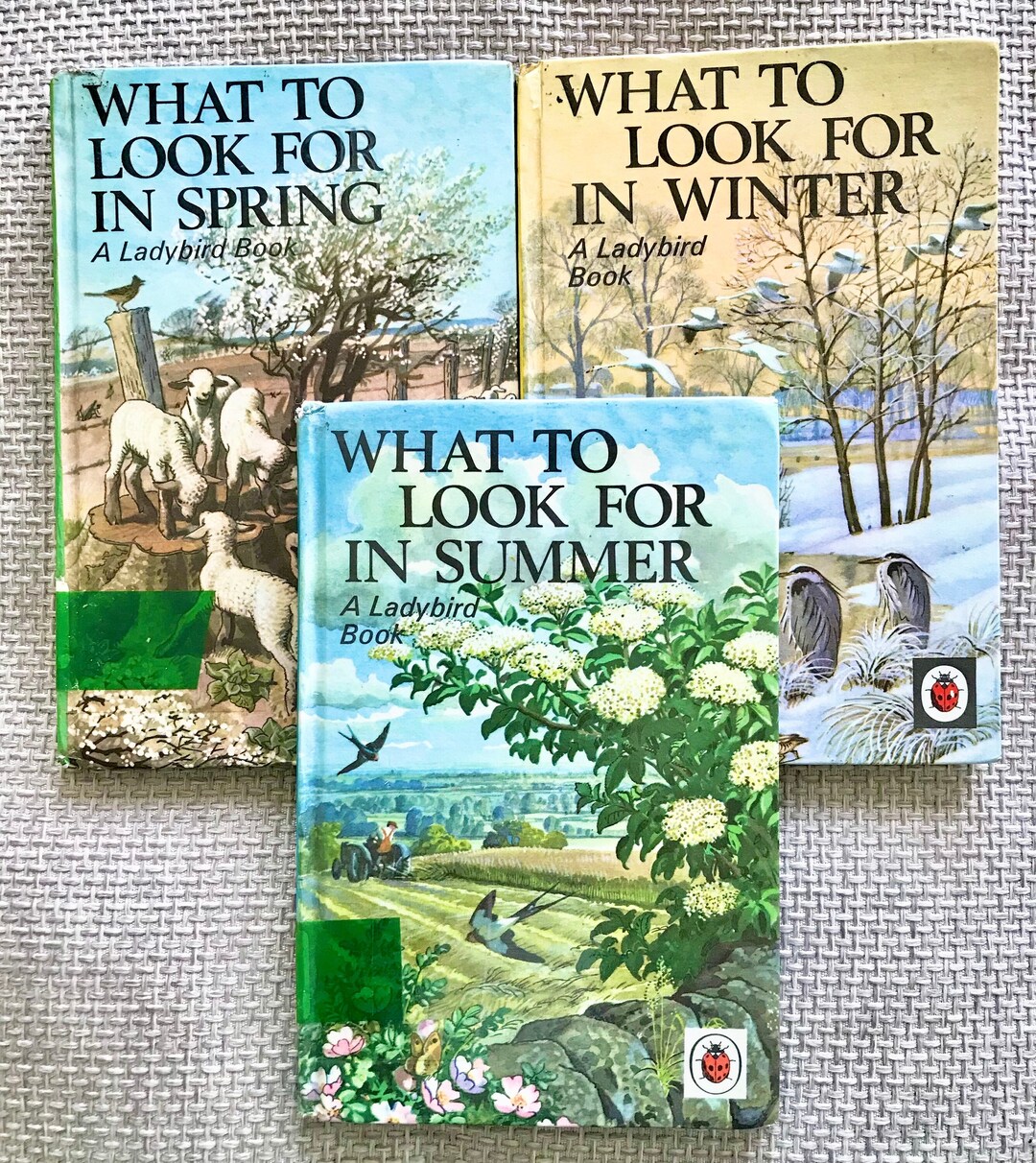 3 X Ex Library Vintage Ladybird Seasons Books. What to Look for in ...