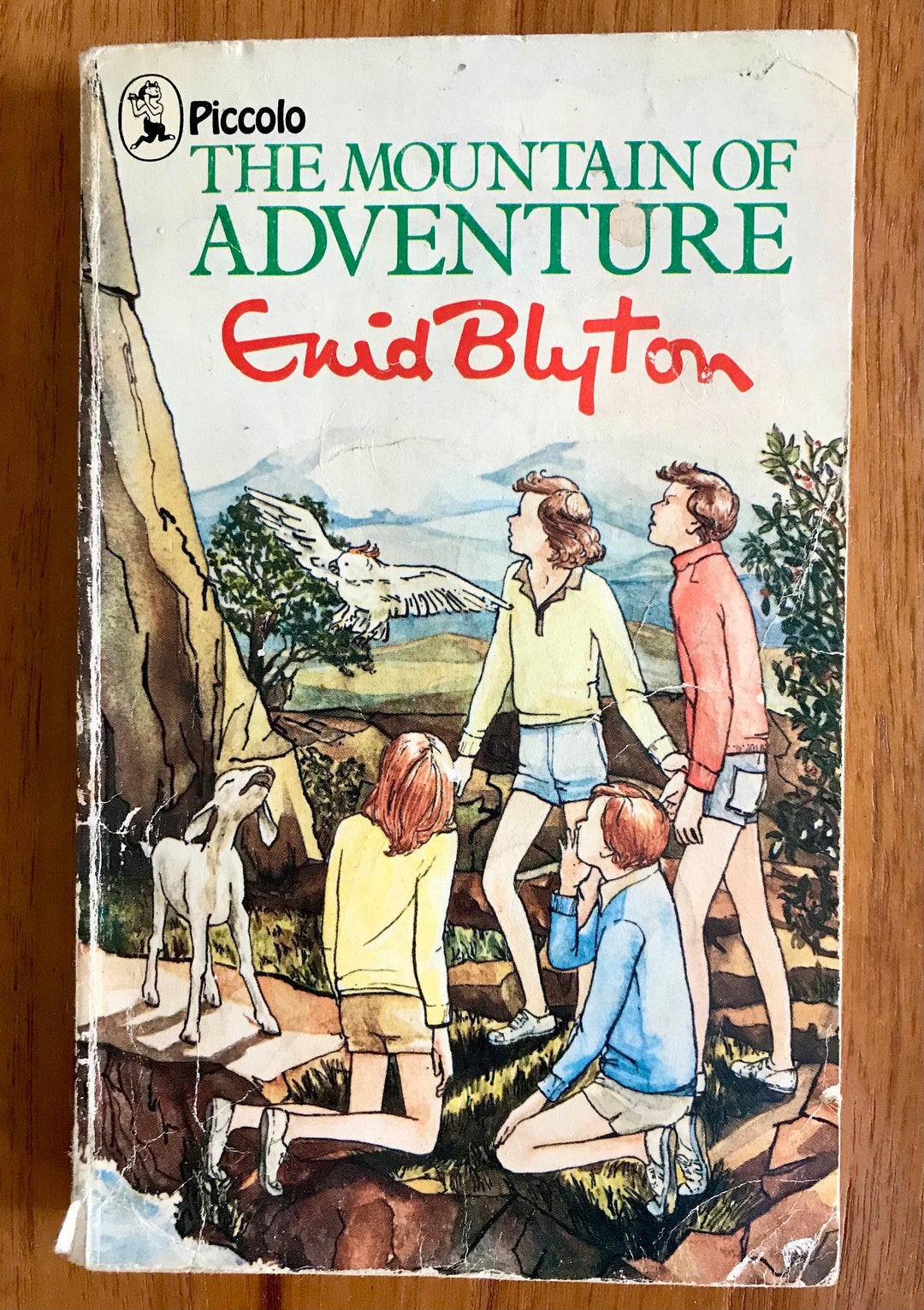 The Mountain of Adventure by Enid Blyton. Vintage Paperback Book. - Etsy