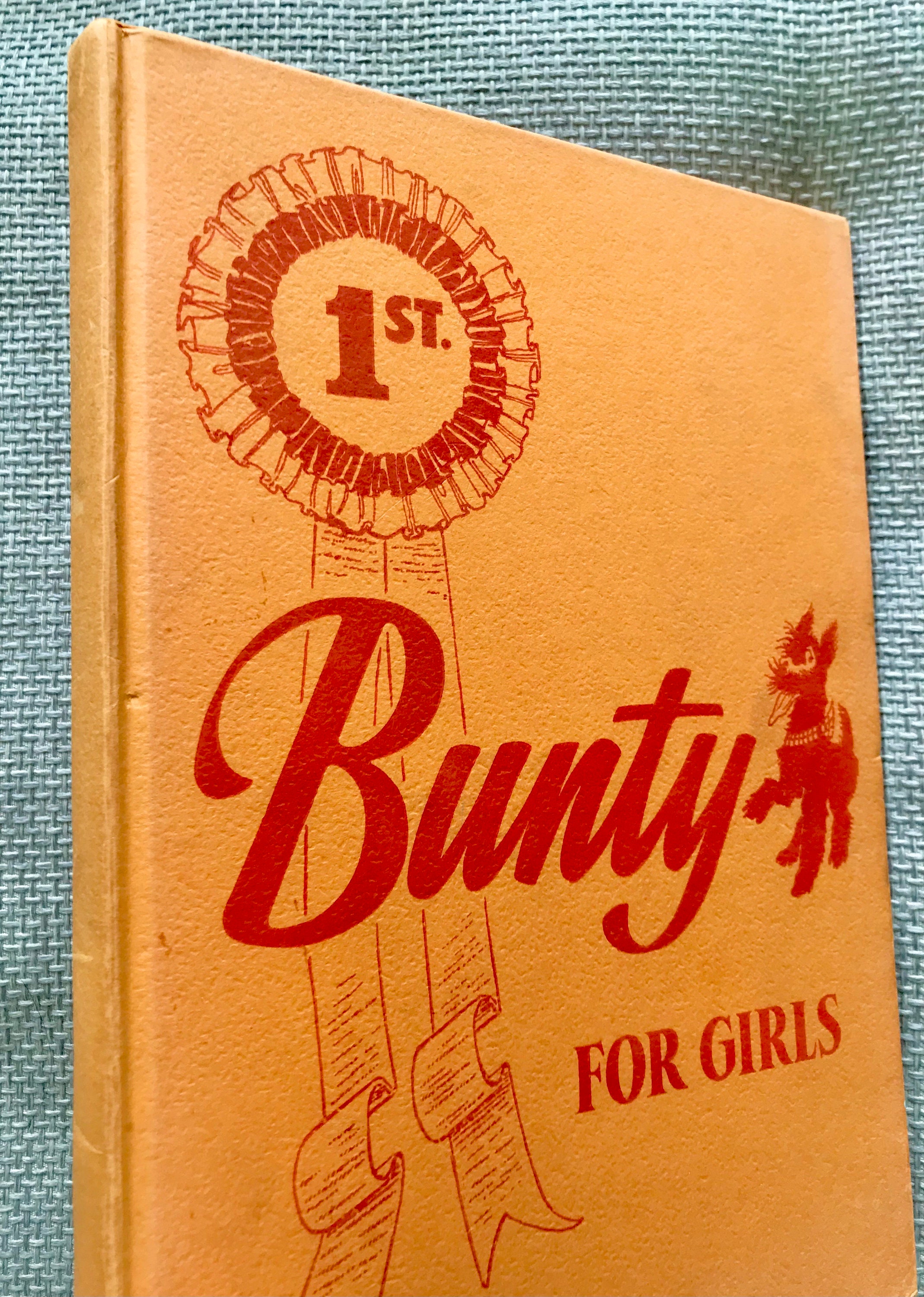 Bunty Annual 1972. Vintage Girls Annual. - Etsy