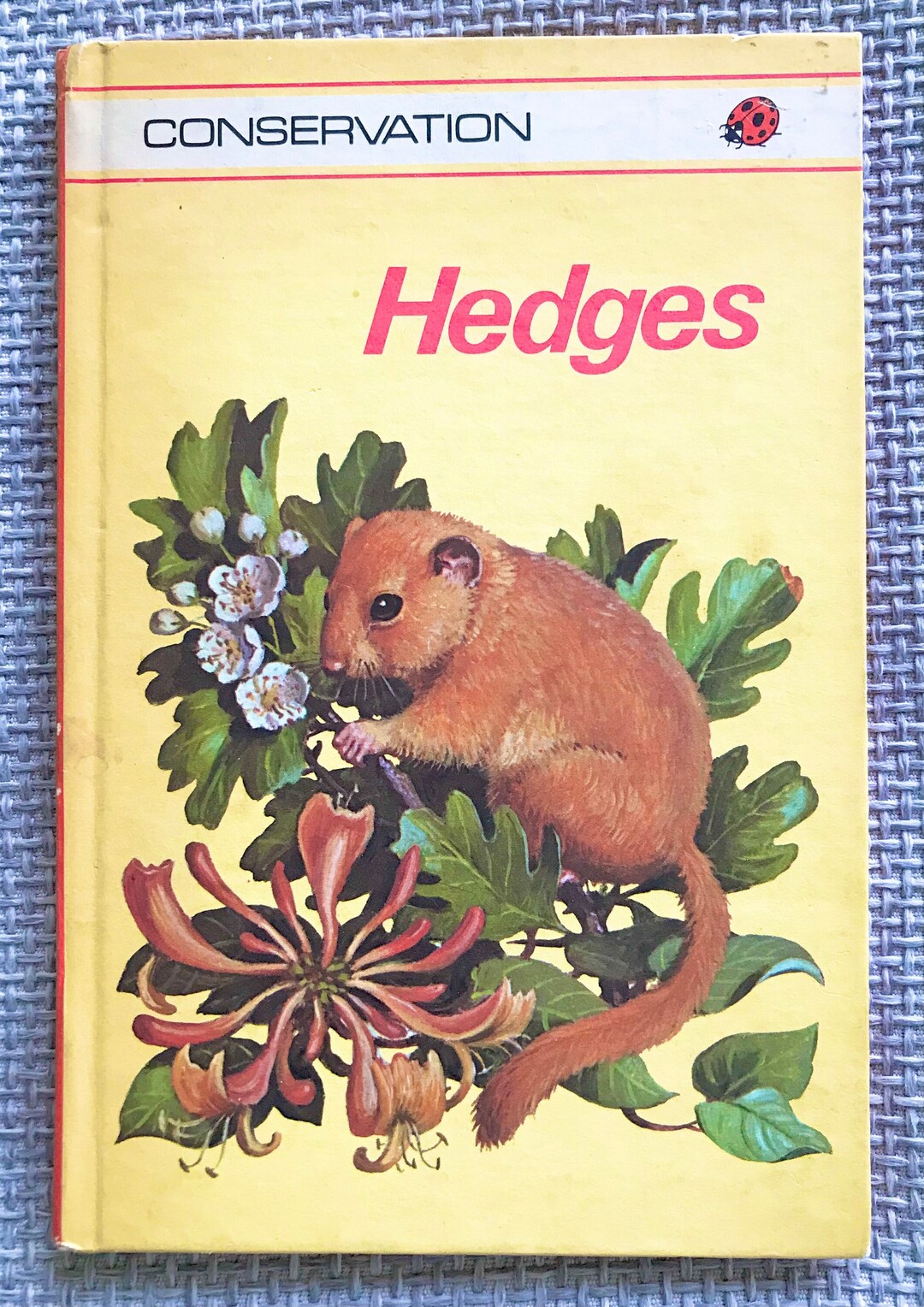 Hedges. Vintage Ladybird Conservation Book. - Etsy