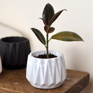 Concrete Planter | Indoor Planter | Plant Pot | Faceted Pot - Etsy