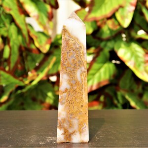 Large 150MM Natural Sylvite Halite Stone Healing Metaphysical - Etsy