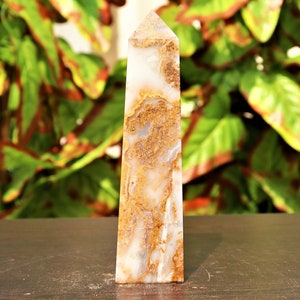 Large 150MM Natural Sylvite Halite Stone Healing Metaphysical - Etsy