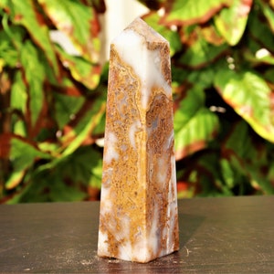 Large 150MM Natural Sylvite Halite Stone Healing Metaphysical - Etsy