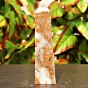 Large 150MM Natural Sylvite Halite Stone Healing Metaphysical - Etsy
