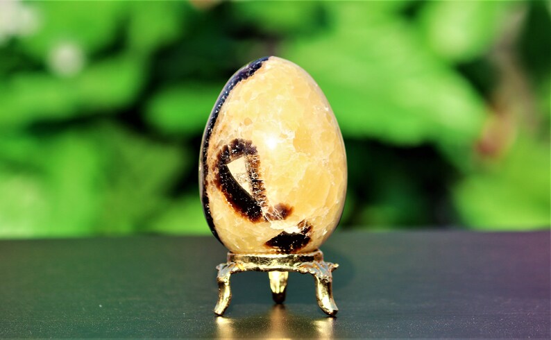 Amazing Yellow Septarian Septaria Stone 55MM Metaphysical Aura - Etsy