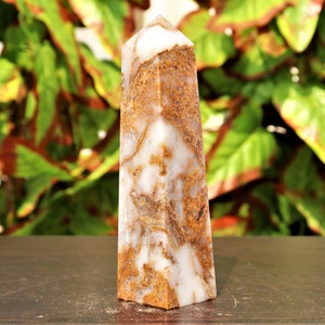 Large 150MM Natural Sylvite Halite Stone Healing Metaphysical - Etsy