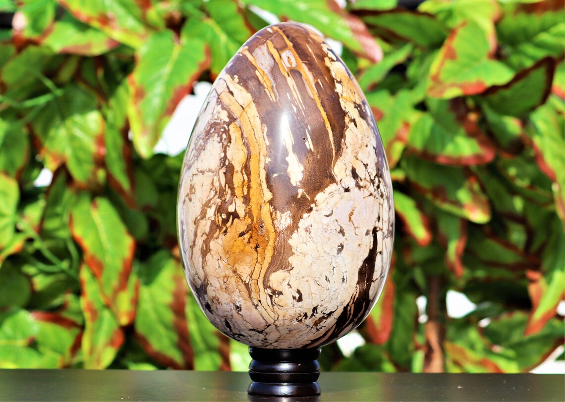 Large 230MM Natural Brown Picture Jasper Healing Metaphysical | Etsy