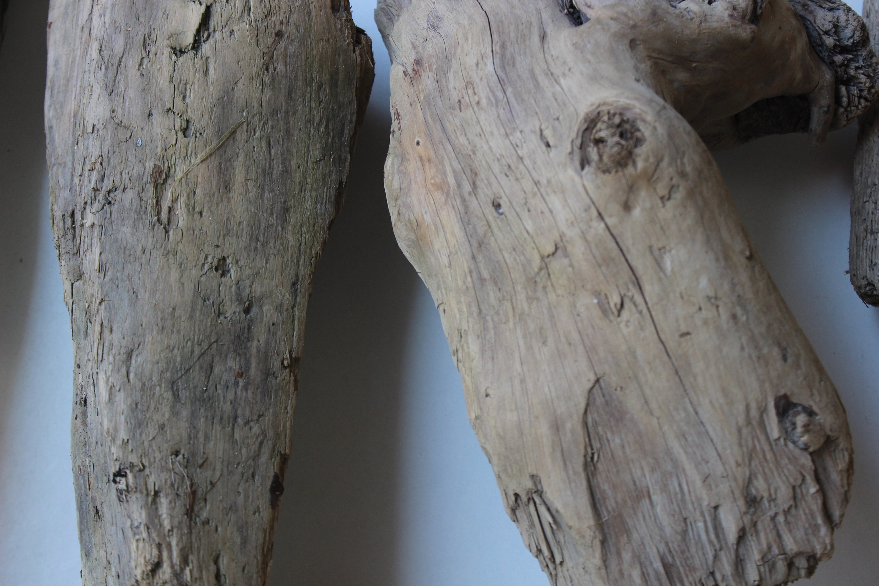 Driftwood Floating Wood Driftwood 4 Gnarled Woods Garden Decoration ...