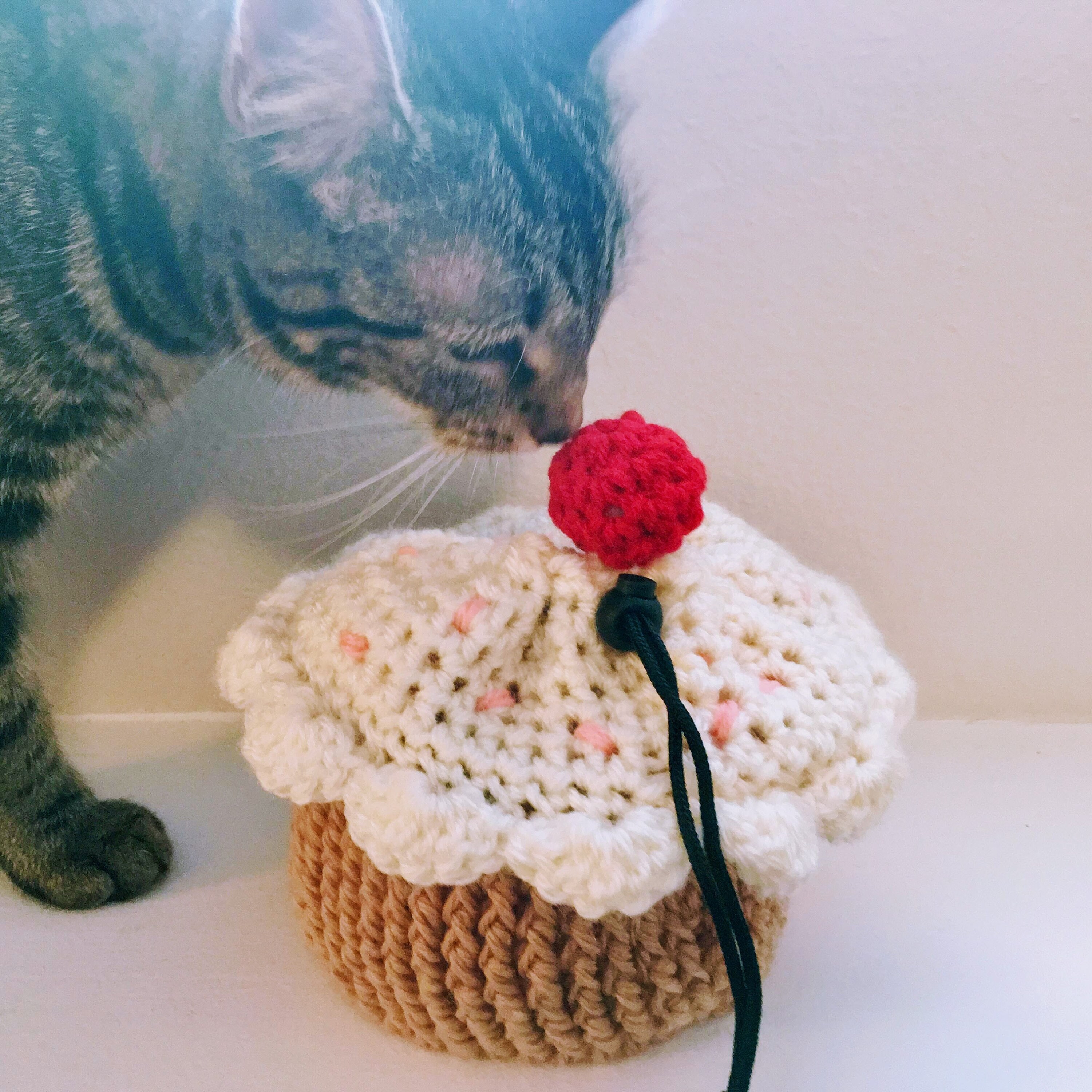 Adorable Cupcake Drawstring Bag Crochet Pattern - Etsy