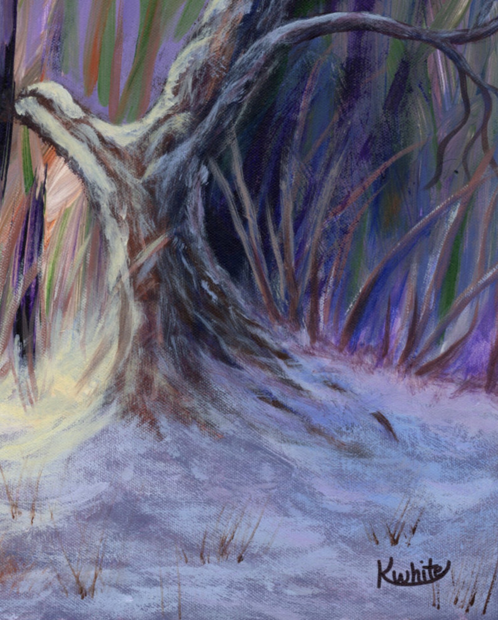 Enchanted Winter Forest Snow Scene 8 X 10 Print - Etsy