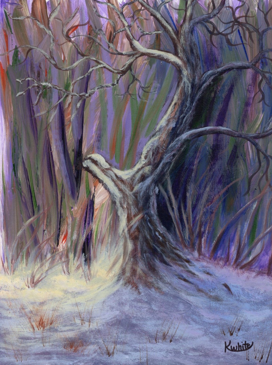 Enchanted Winter Forest Snow Scene 8 X 10 Print - Etsy